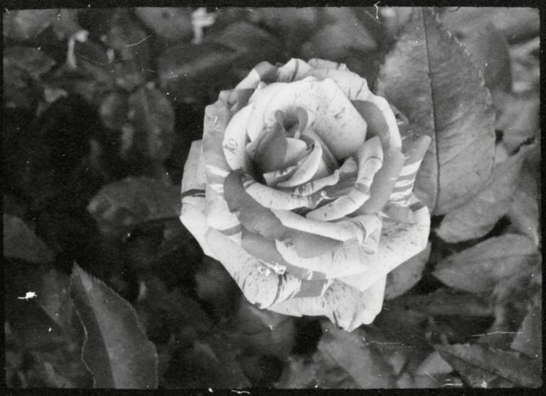 The Minox B – All my cameras